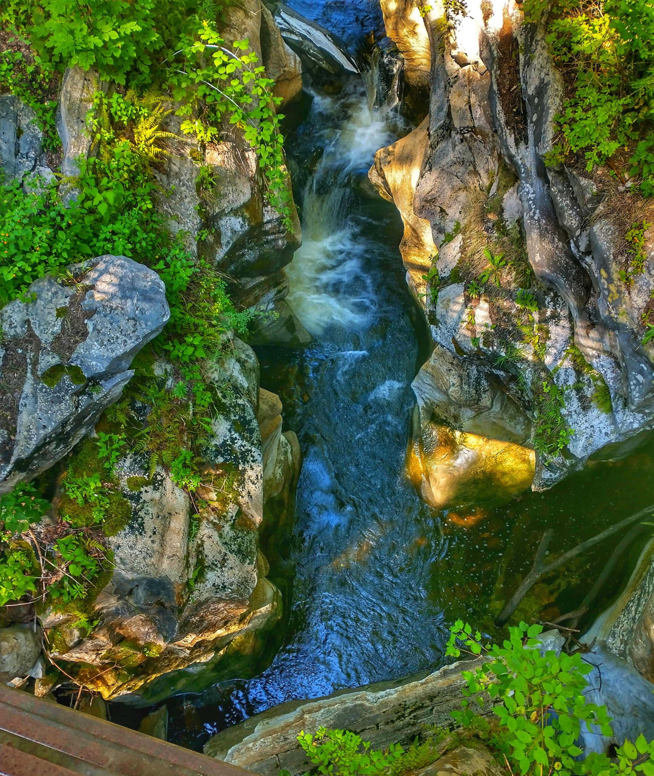 Surprising Beauty of Natural Bridge State Park - Explore from Sea to Shore